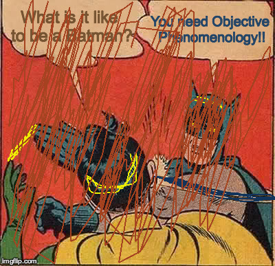 Some exuberant, but excluded, memes – Simon J. Evnine